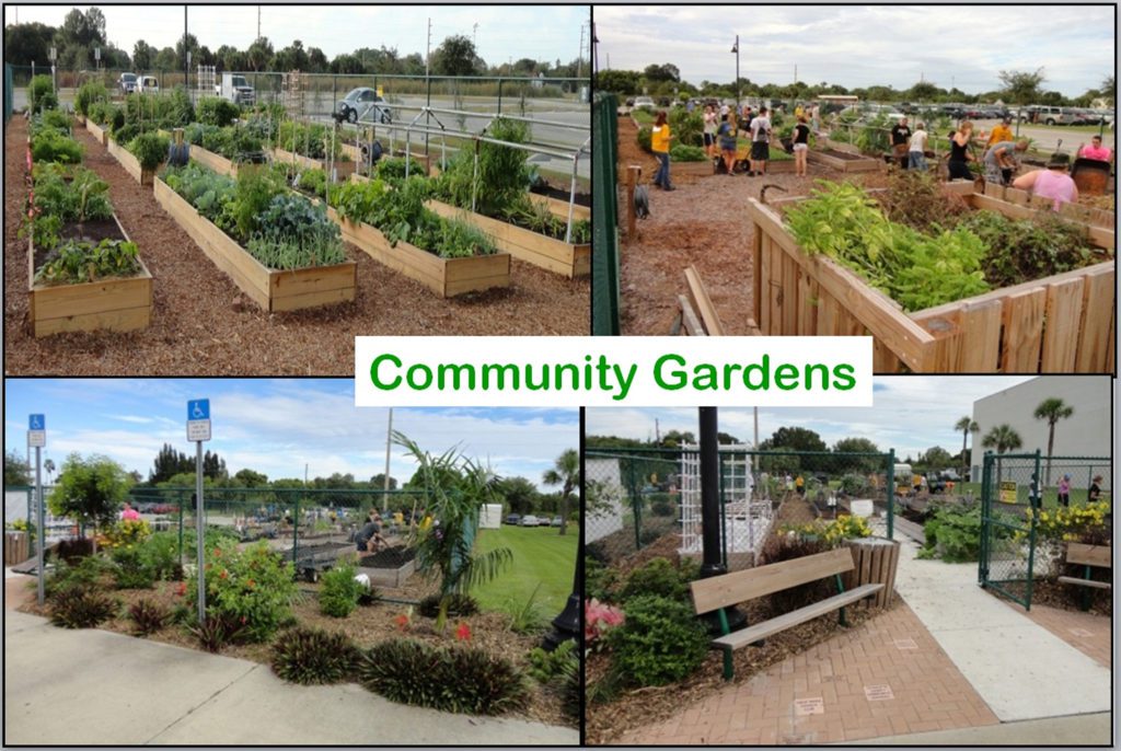 Community Gardens « Volunteers For A Better Community