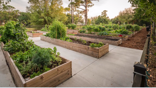 Community Gardens « Volunteers For A Better Community