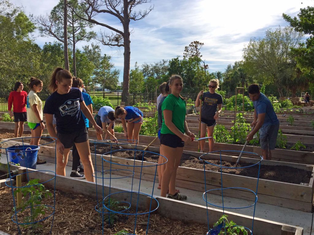 School Gardens « Volunteers For A Better Community